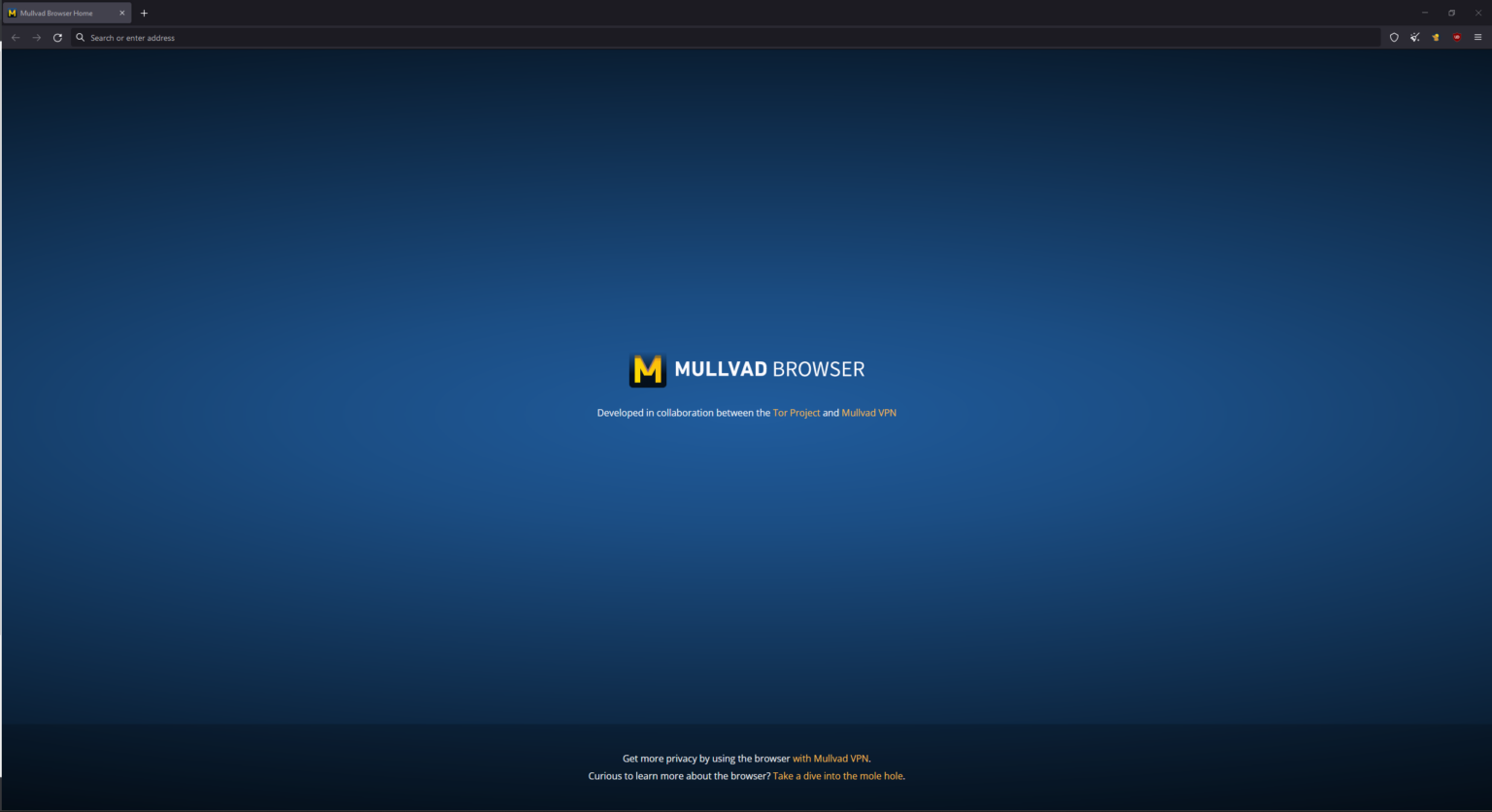 Mullvad browser review: groot aantal privacybeschermende functies