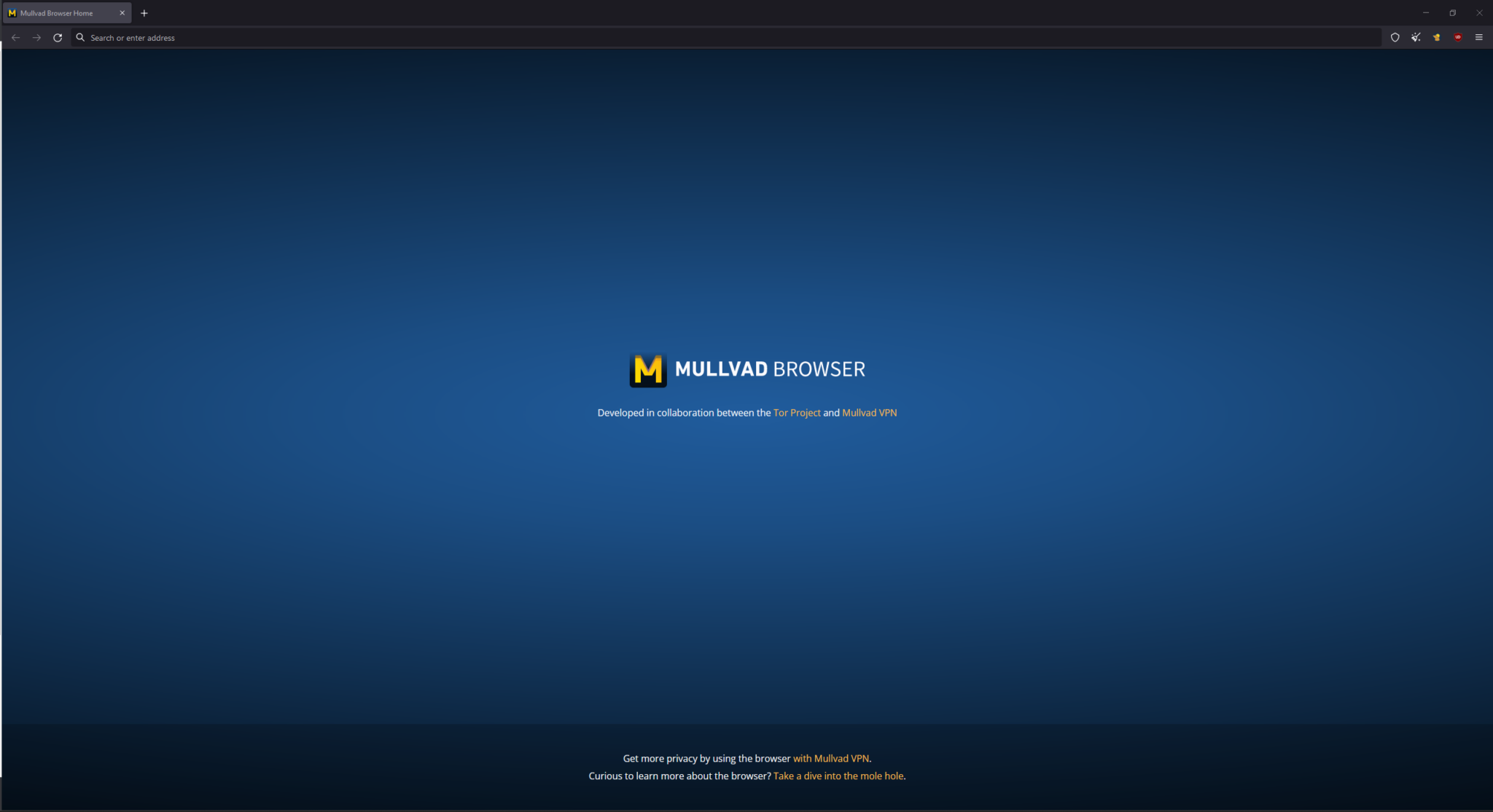 Mullvad browser review: groot aantal privacybeschermende functies